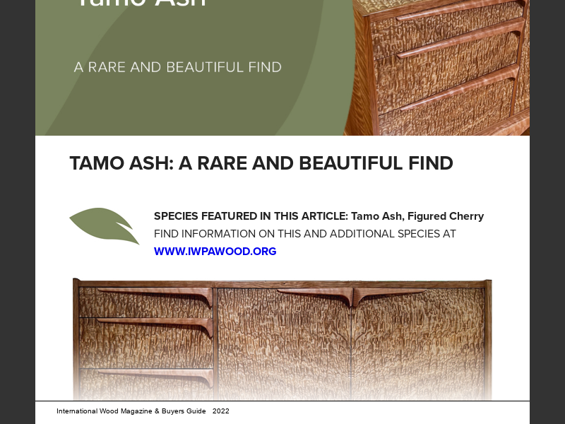 Buyers Guide 2022Tamo Ash: A Rare And Beautiful Find