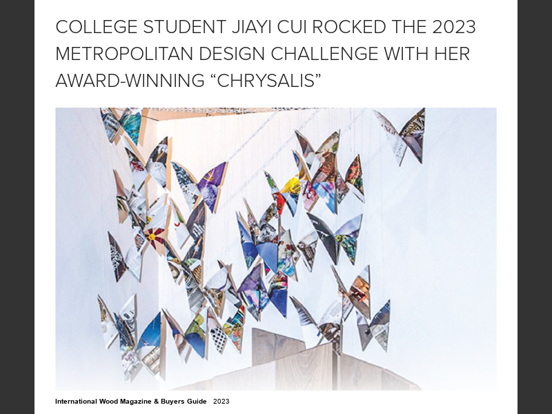 Buyers Guide 2023College Student Jiayi Cui Rocked the 2023 Metropolitan ...