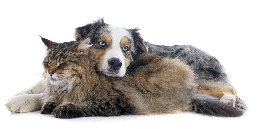 HomeAAA Savings Guide: Home