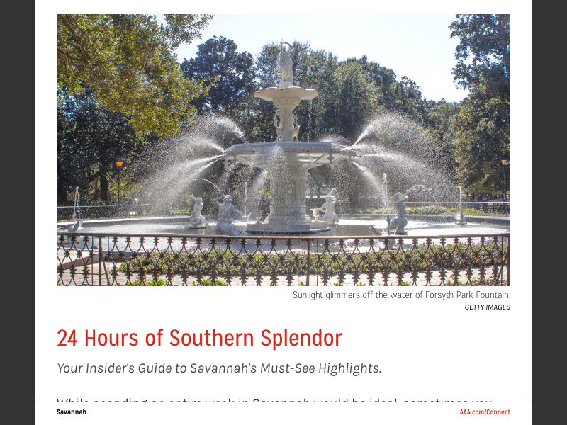 Savannahday in savannah