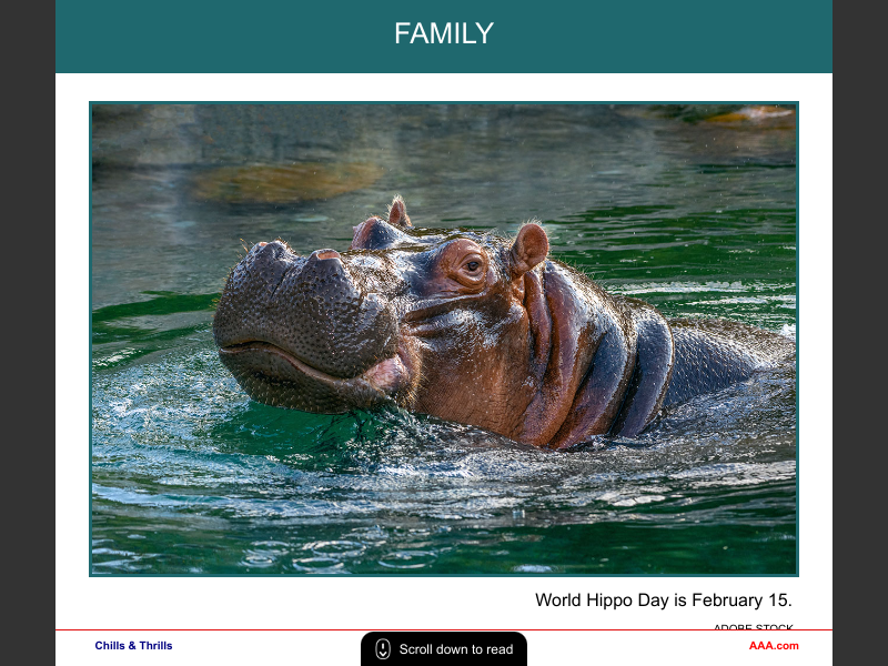 2025 FebruaryWorld Hippo Day