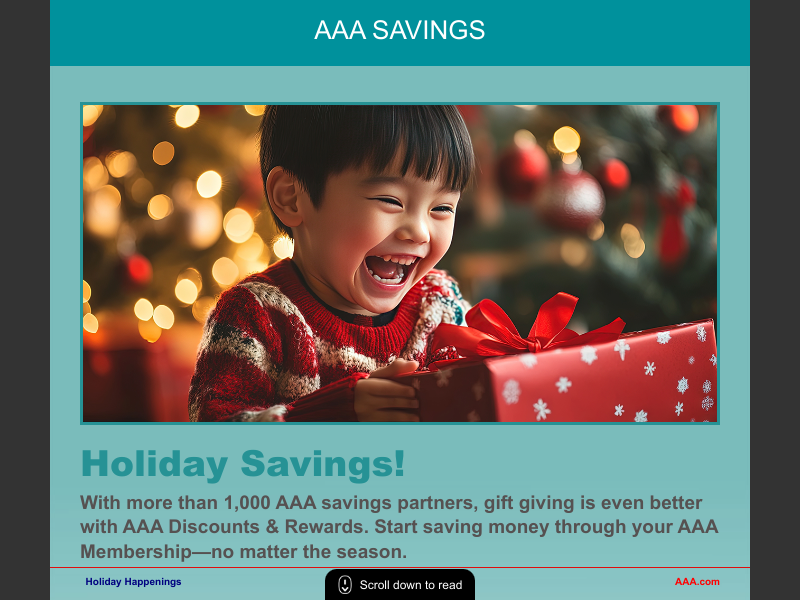 Nov-Dec 2024AAA Savings