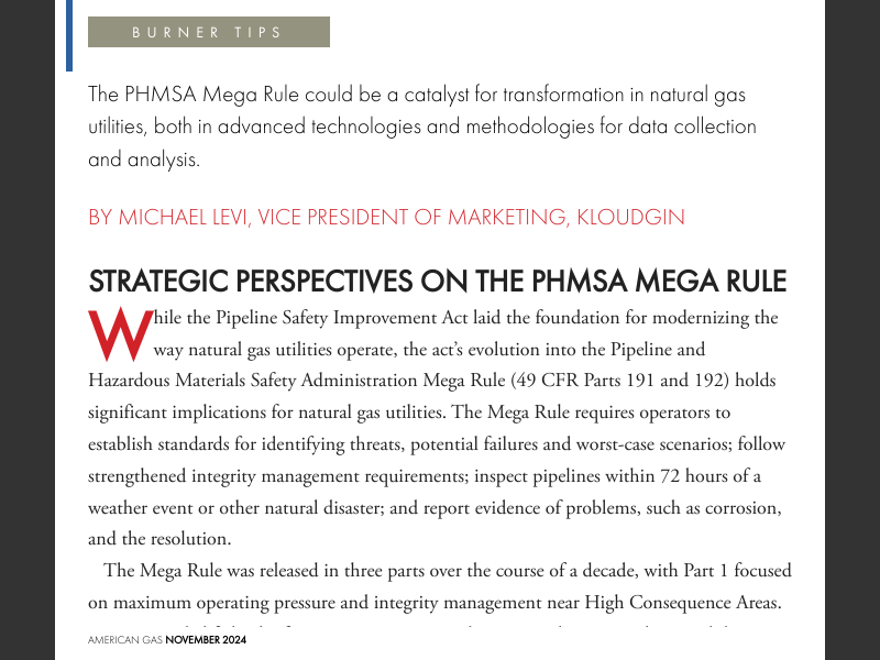 American Gas - November 2024Burner Tips2