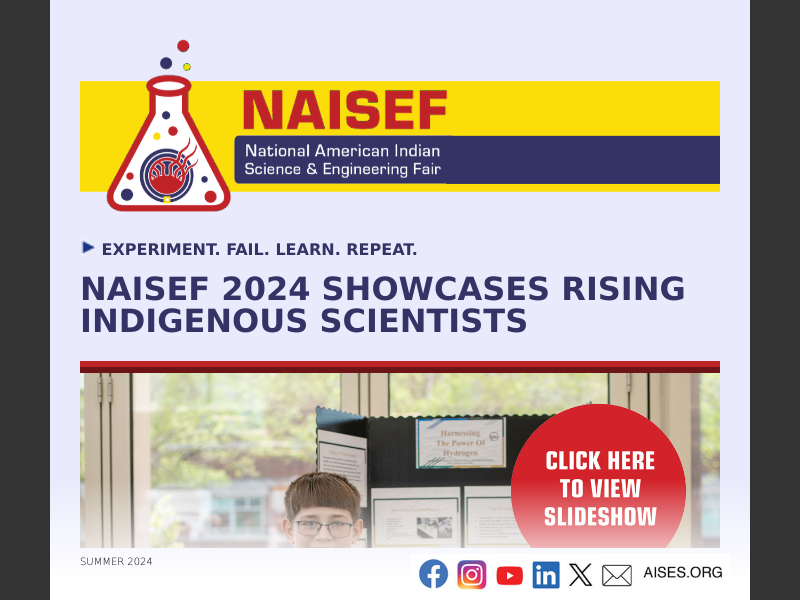 Summer 2024NAISEF