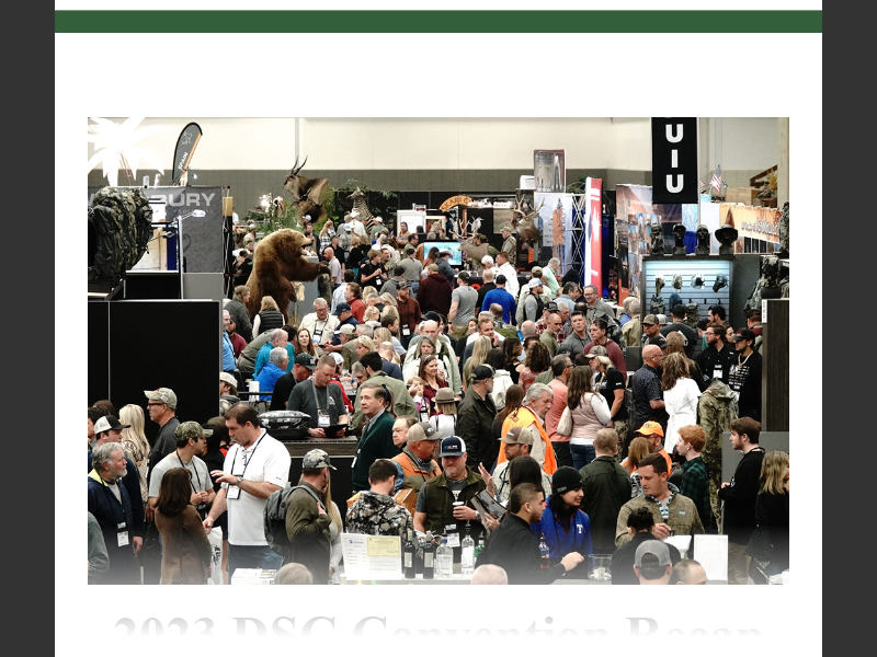 February 2023DSC Convention Recap