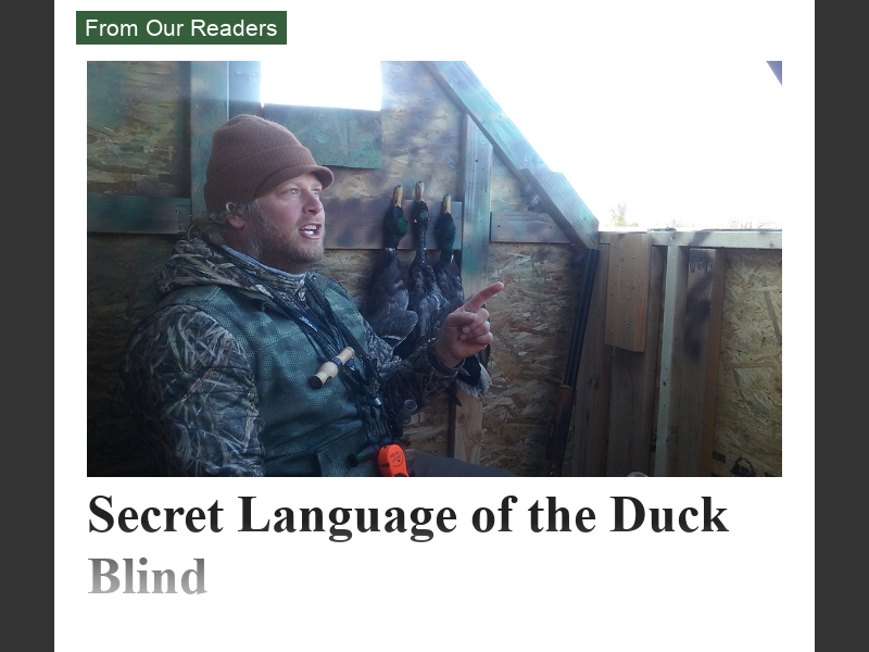 Spring 2021From Our Readers: The Secret Language of the Duck Blind
