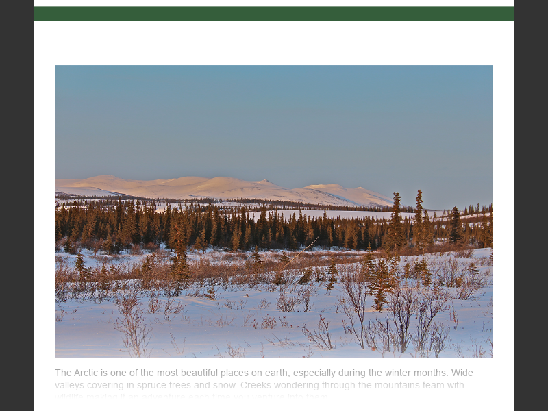 Winter 2021Trees are shorter in the Wintertime