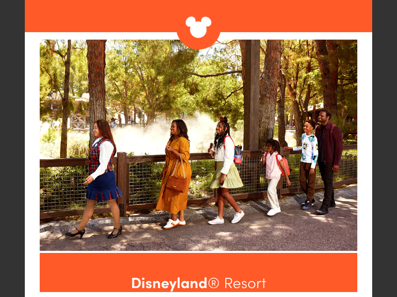 Disneyland Resort Brochure Wholesale – Ticket + DLR HotelsVIP Tours ...