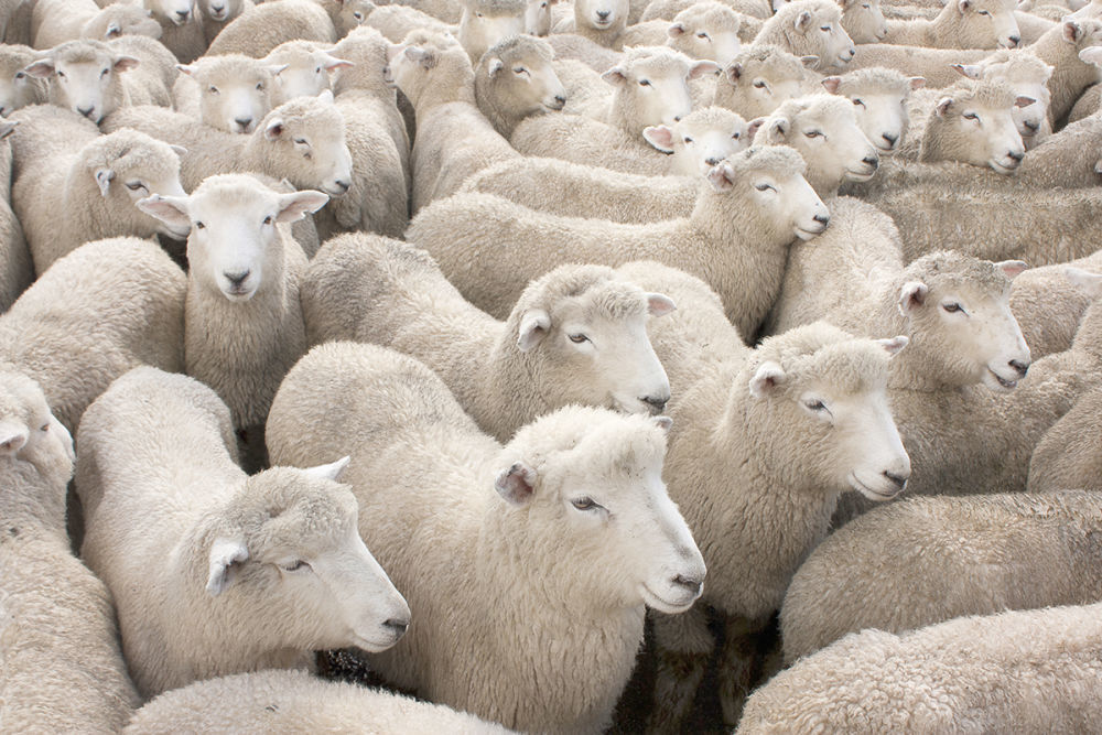 {{ubiquityData.nextArticle.title}}