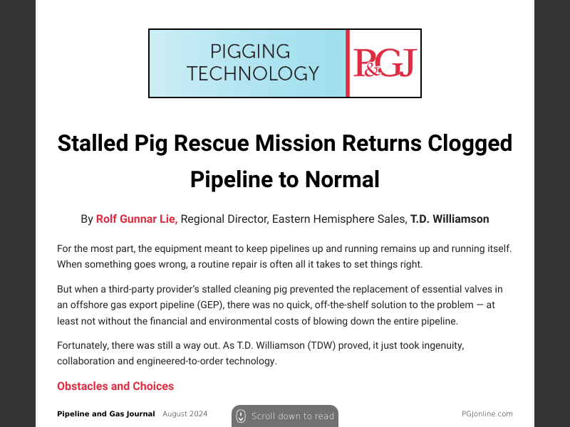 August 2024Pigging—TDW Pig