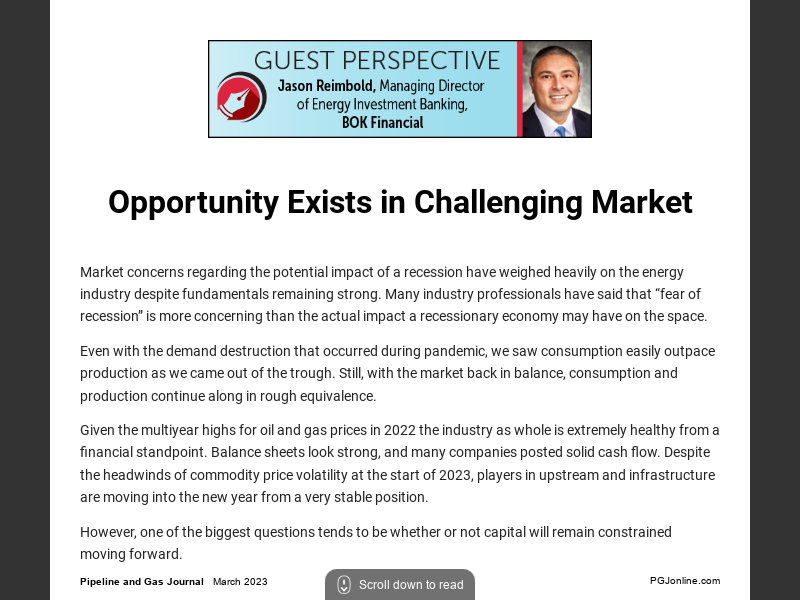 March 2023Guest Perspective—Energy banking (Reimbold)