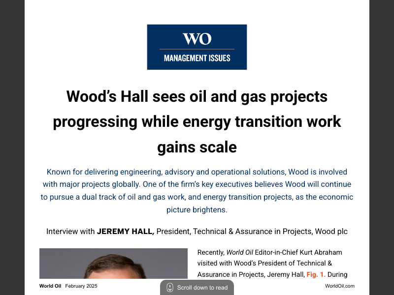 February 2025Management Issues—Hall Interview (Wood plc )