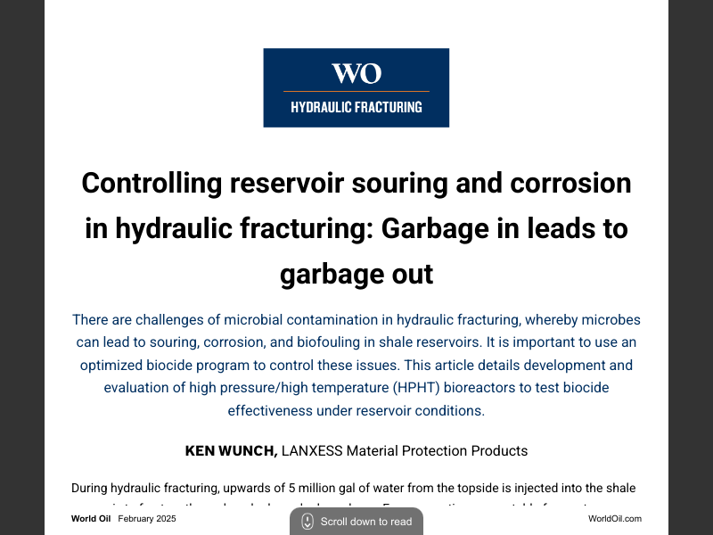 February 2025Hydraulic Fracturing—Wunch (LANXESS Material Protection ...
