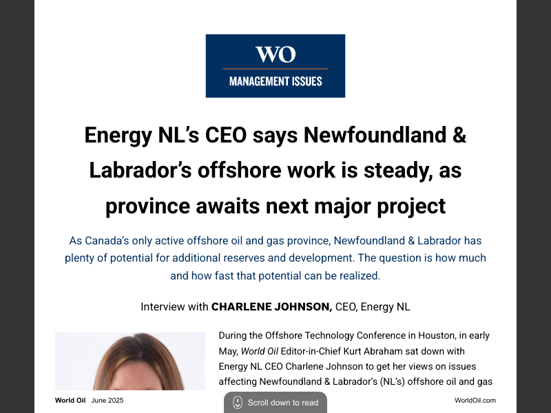 June 2025Management Issues—Johnson (Energy NL)