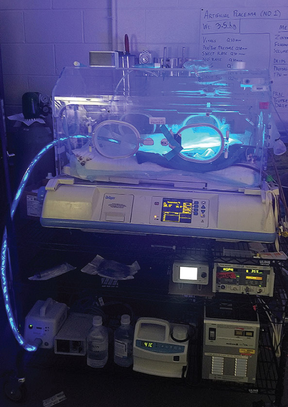 IEEE Spectrum NA April 2021The Ultimate Incubator