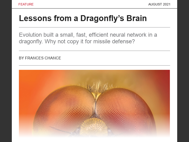 IEEE Spectrum NA August 2021Lessons From a Dragonfly's Brain