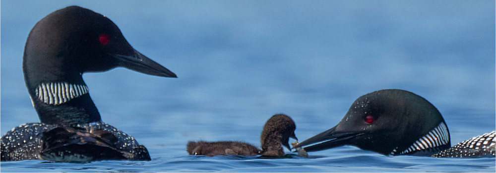 2022Adirondacks Southwest