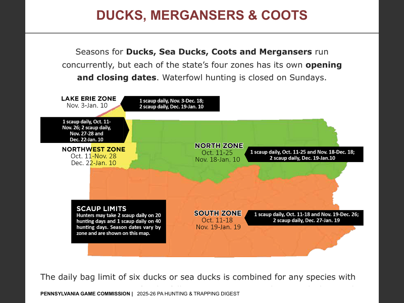 Hunting & Trapping Digest 2025-2026Ducks, Mergansers & Coots