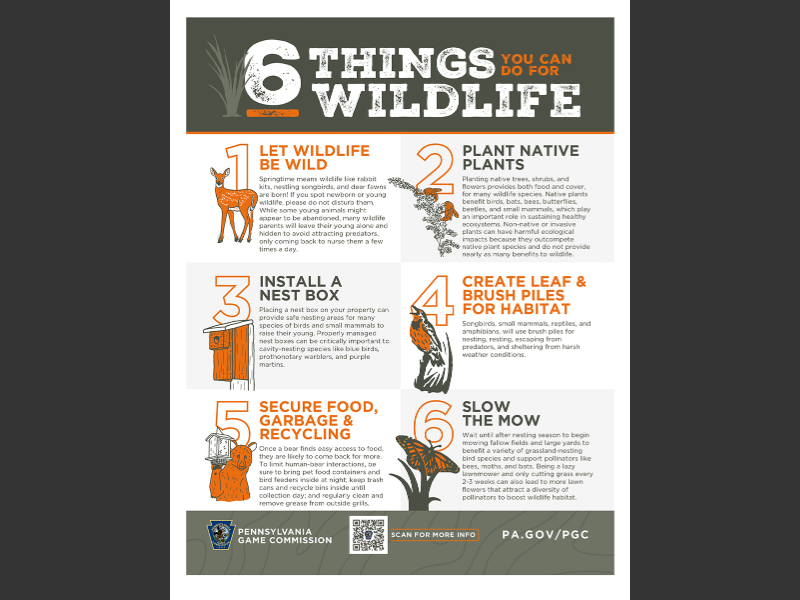 Hunting & Trapping Digest 2025-20266 Things You Can Do For Wildlife