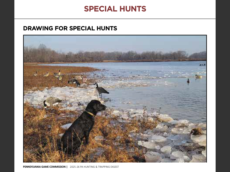 Hunting & Trapping Digest 2025-2026Special Hunt Applications