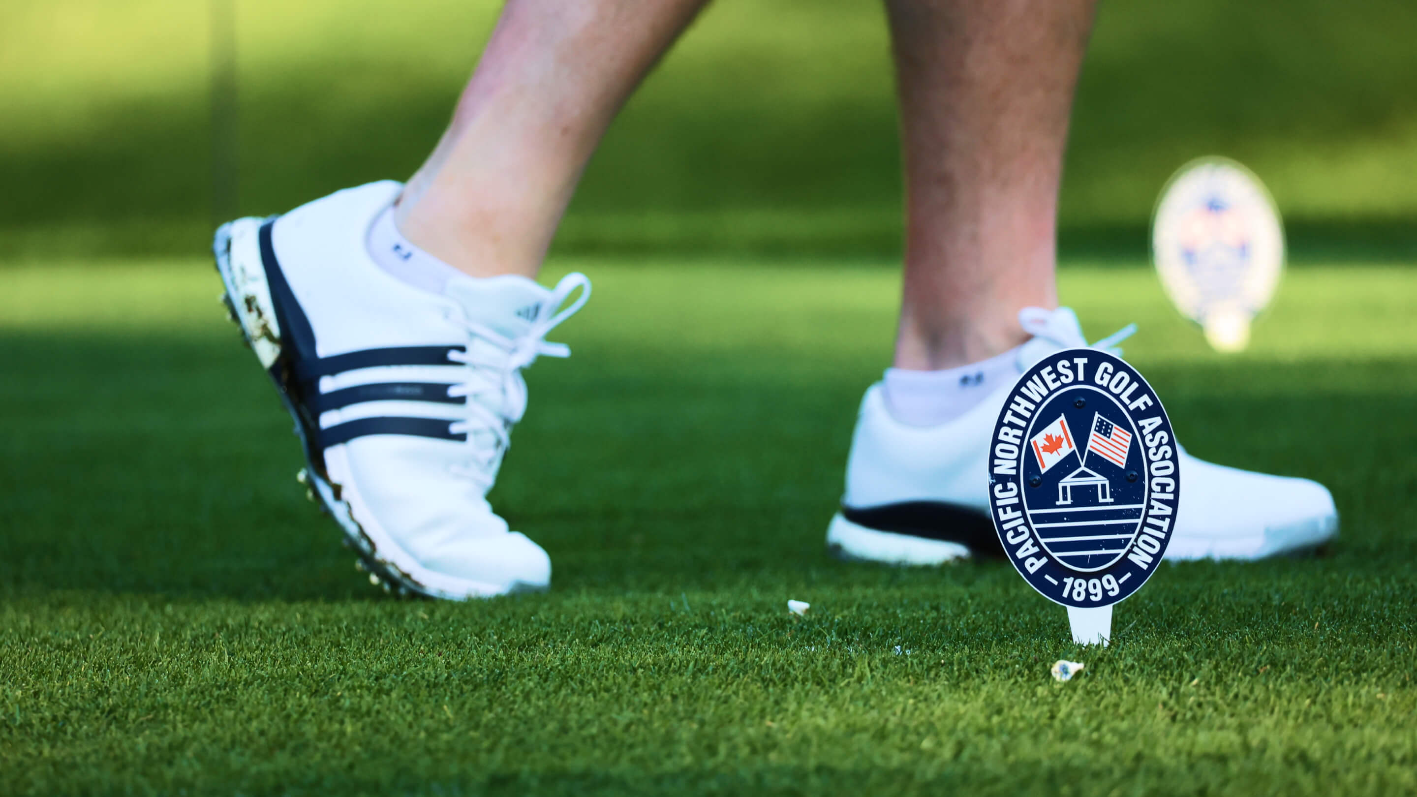 December IssueBy the Numbers