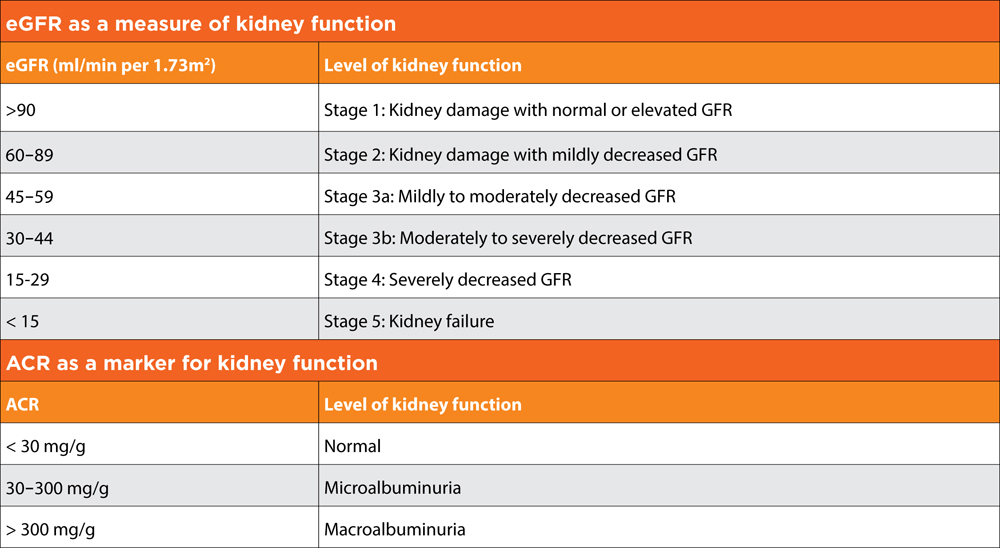Partnership Guide 2022Atrial Fibrillation