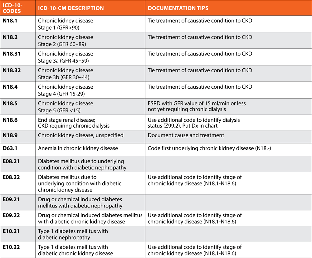 Partnership Guide 2022Cancer