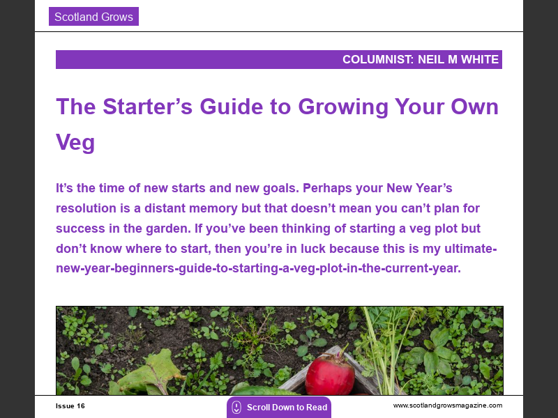 Issue 16The Starter’s Guide to Growing Veg