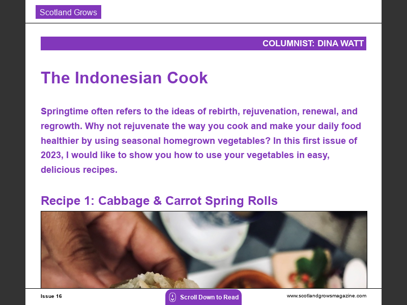 Issue 16The Indonesian Cook