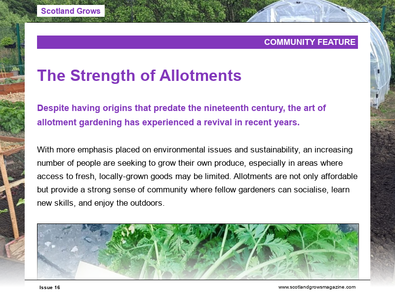 Issue 16The Strength of Allotments