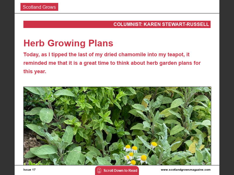 Issue 17Herb Growing Plans