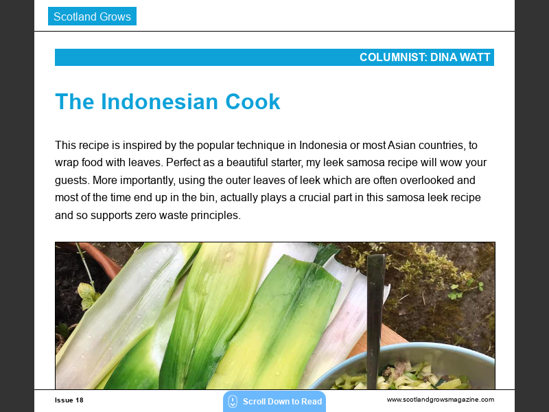 Issue 18The Indonesian Cook