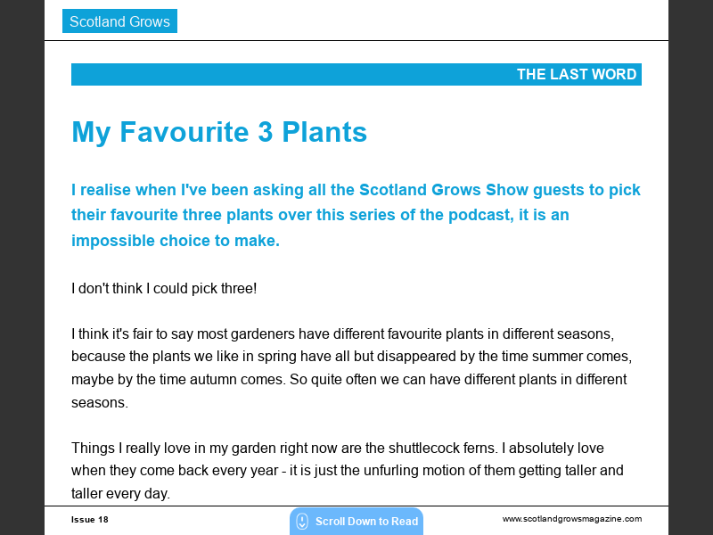 Issue 18The Last Word