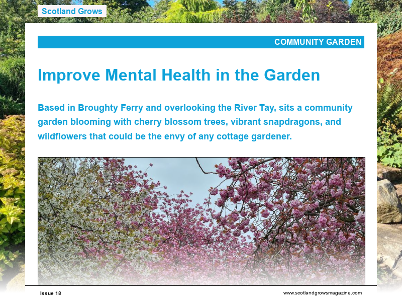 Issue 18Improve Mental Health in the Garden
