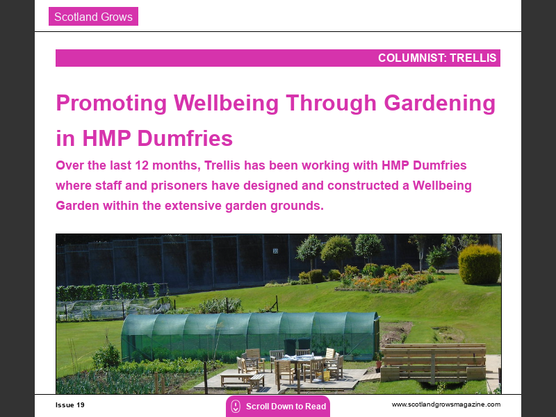 Issue 19Promoting Wellbeing Through Gardening in HMP Dumfries