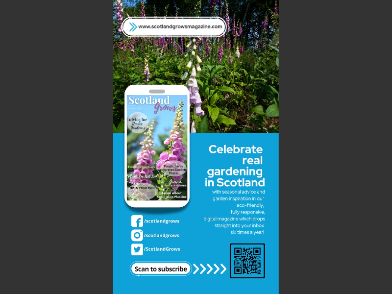 Issue 19Scotland Grows Subscription advert