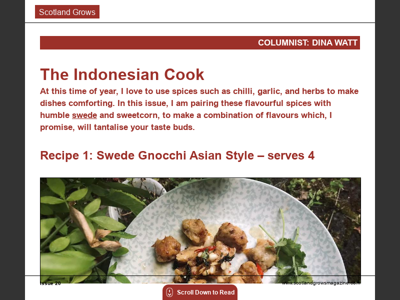 Issue 20The Indonesian Cook