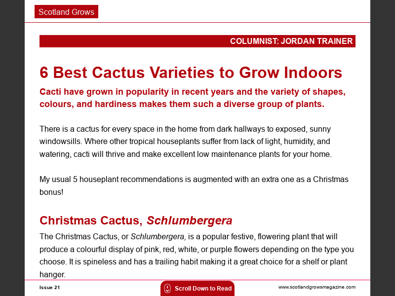 Issue 216 Best Cactus Varieties to Grow Indoors