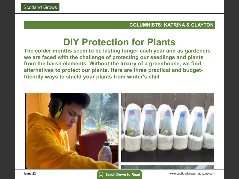 Issue 22DIY Protection for Your Plants