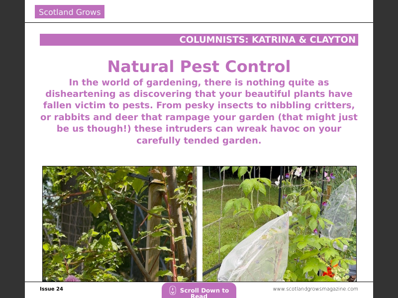 Issue 24Natural Pest Control