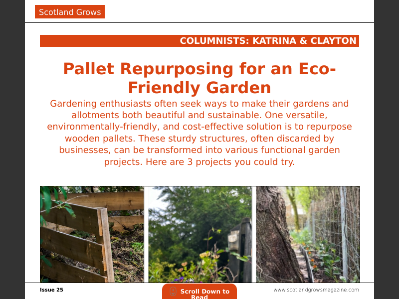Issue 25Pallet Repurposing for an Eco-Friendly Garden