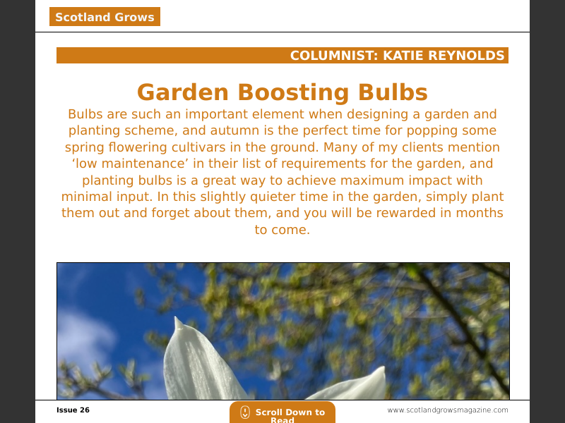 Issue 26Garden Boosting Bulbs