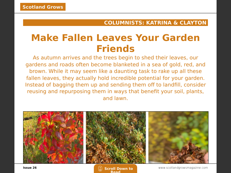 Issue 26Make Fallen Leaves Your Garden Friends
