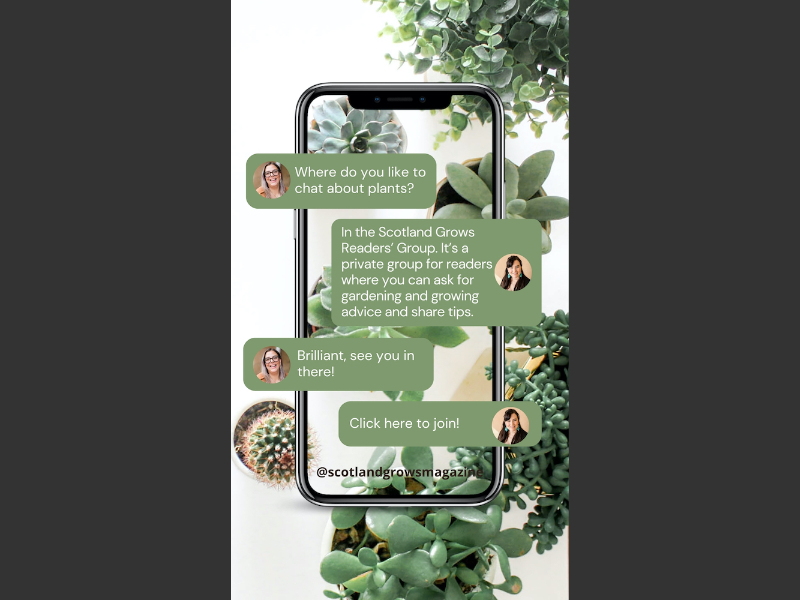 Issue 26Come and Chat About Plants