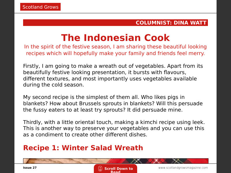 Issue 27The Indonesian Cook