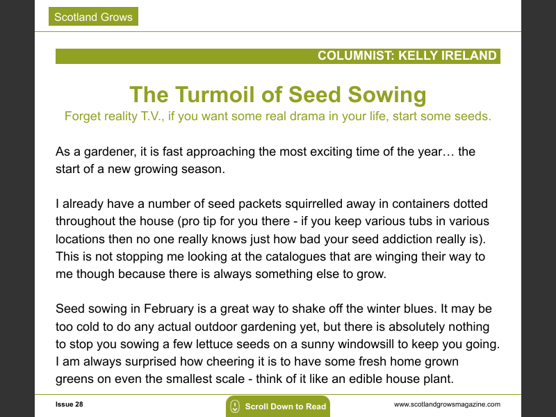 Issue 28The Turmoil of Seed Sowing