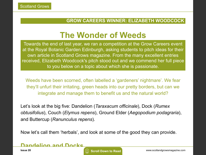 Issue 28The Wonder of Weeds