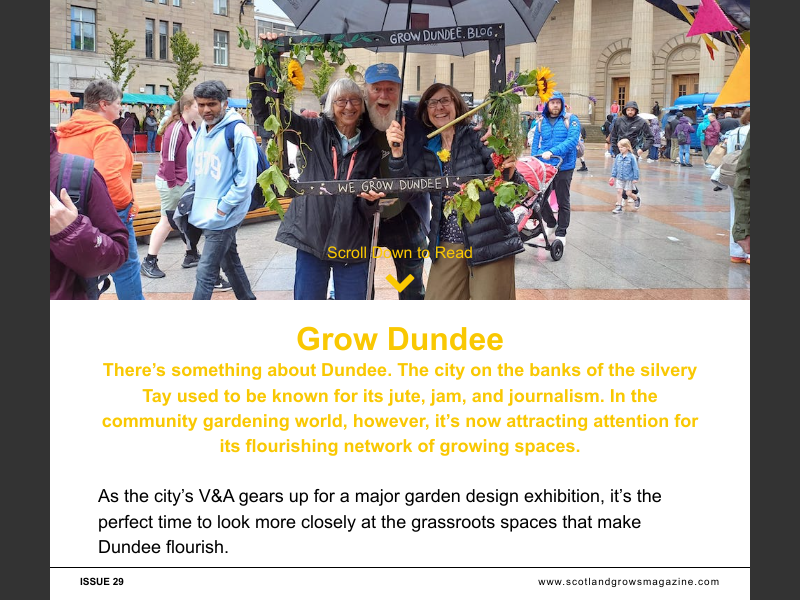 Issue 29Grow Dundee