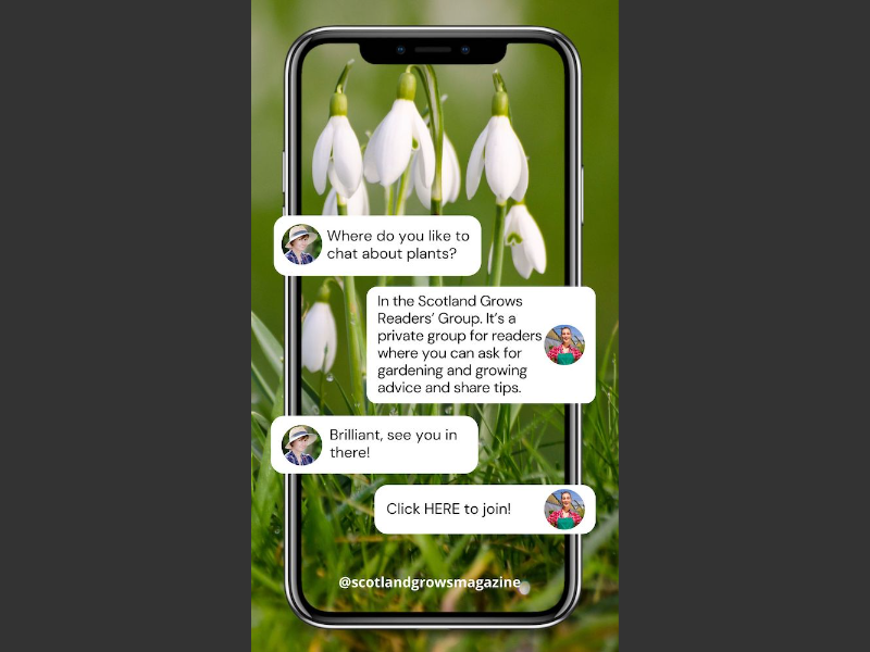 Issue 29Come and Chat About Plants