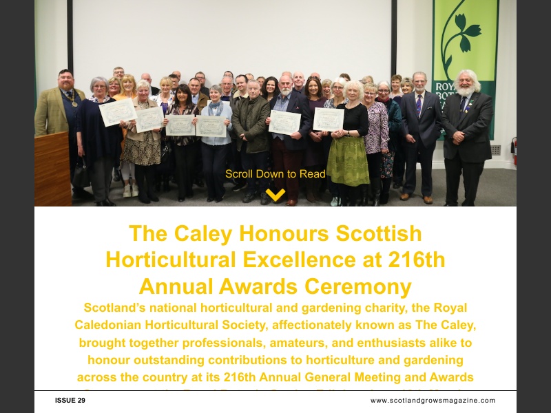 Issue 29The Caley Awards